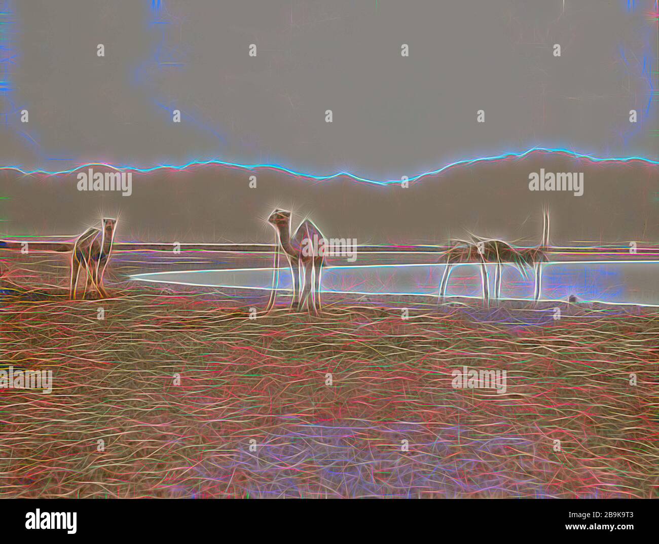 The Araba (Southern end of the great Jordan rift). Akaba (Elath). Gulf ...