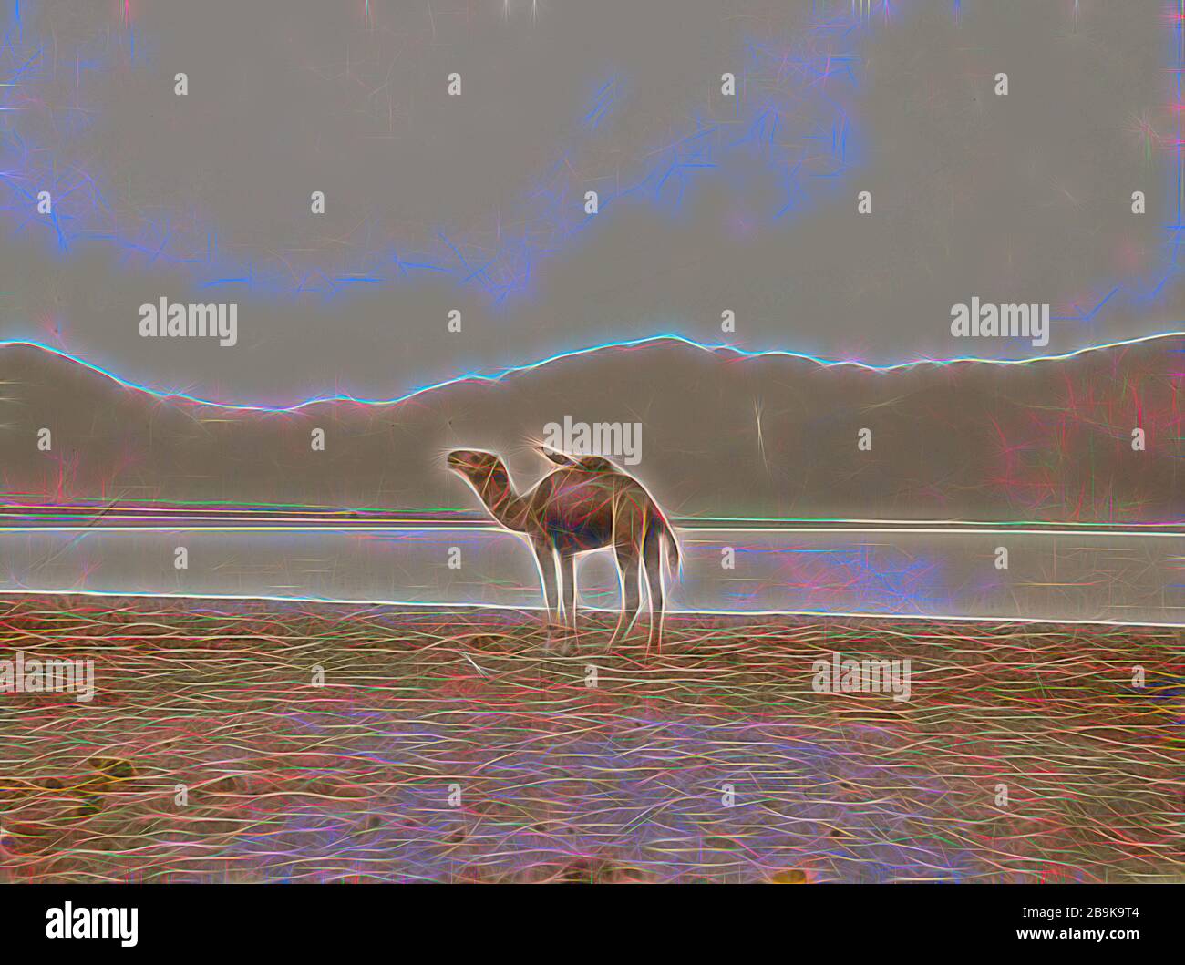 The Araba (Southern end of the great Jordan rift). Akaba (Elath). Gulf ...