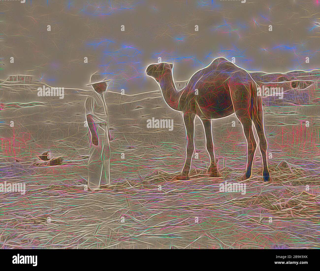 Camel in desert 1934, Middle East, Israel and/or Palestine Stock Photo ...