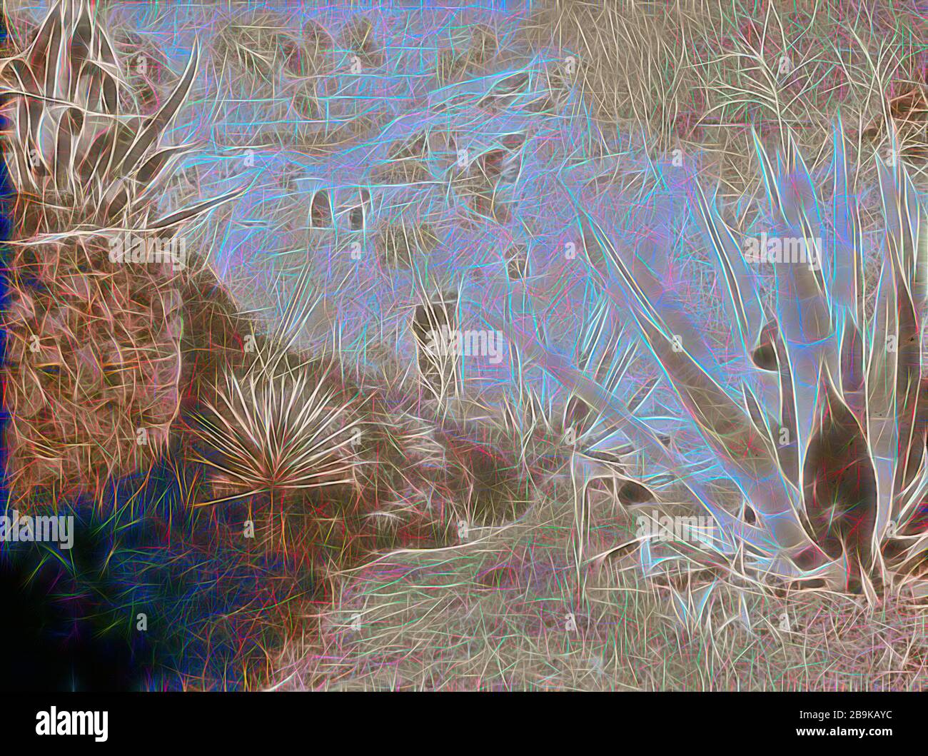 Garden Tomb & Gordon's Calvary 1935, Jerusalem, Israel Stock Photo - Alamy