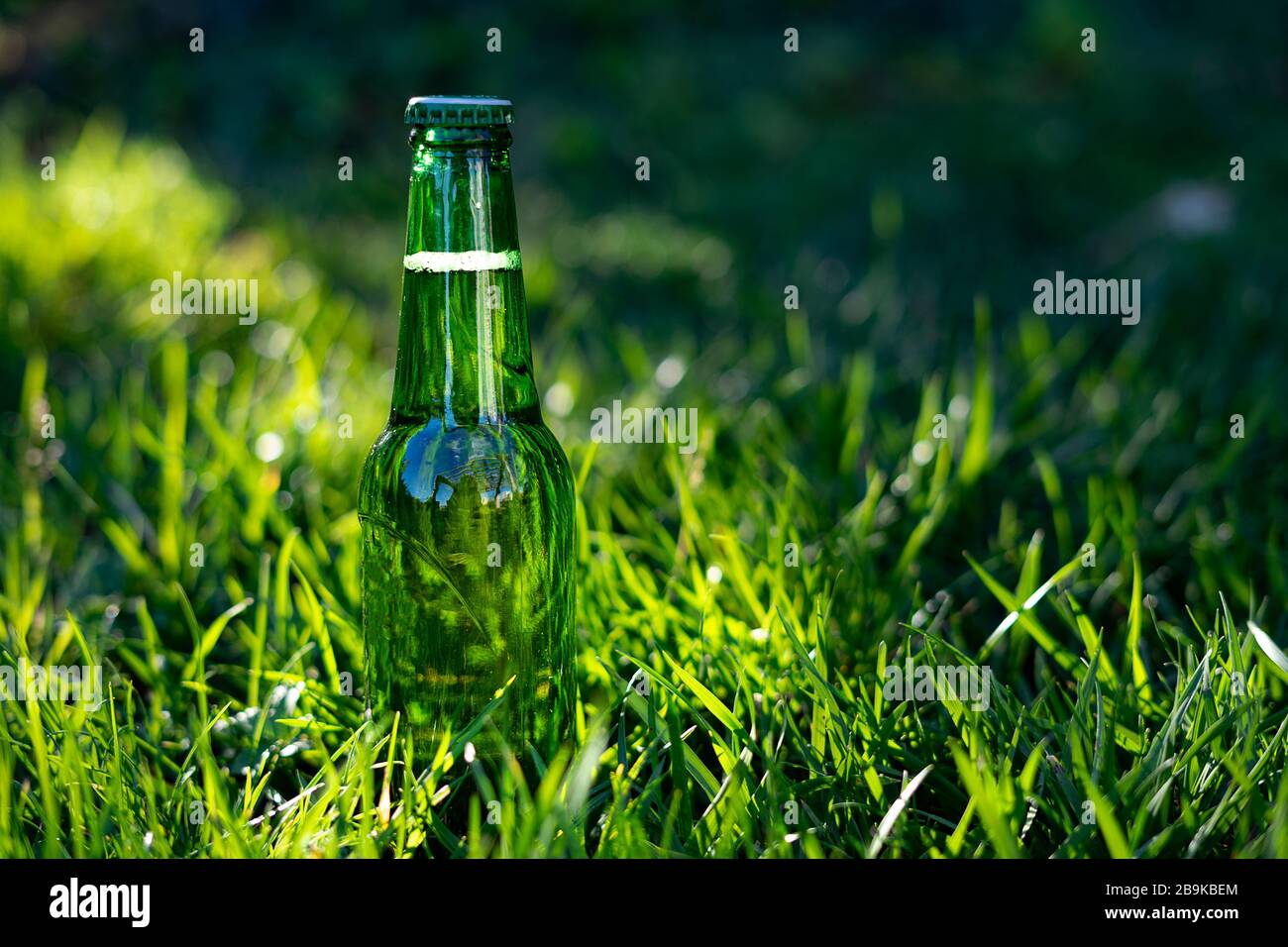 Green beer bottle on a grass background. Beer concept Stock Photo - Alamy