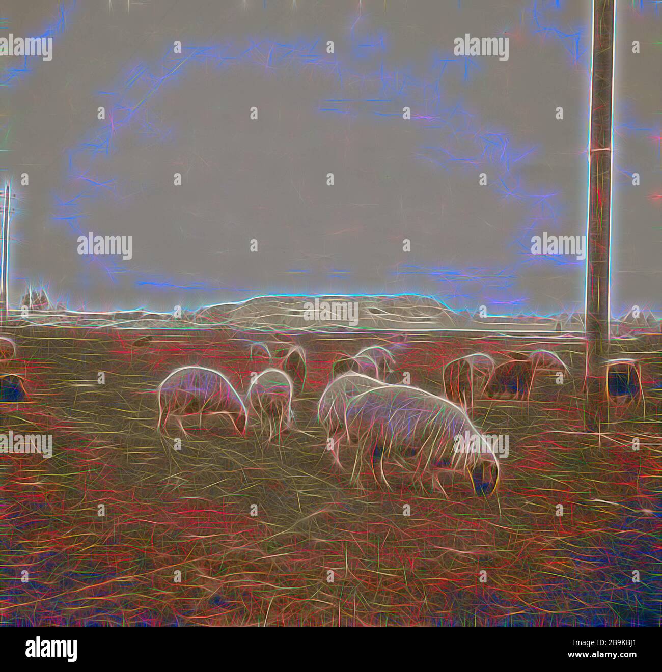 Bisa hi-res stock photography and images - Alamy