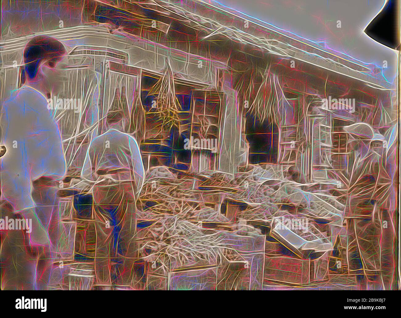 Alexandretta High Resolution Stock Photography and Images - Alamy