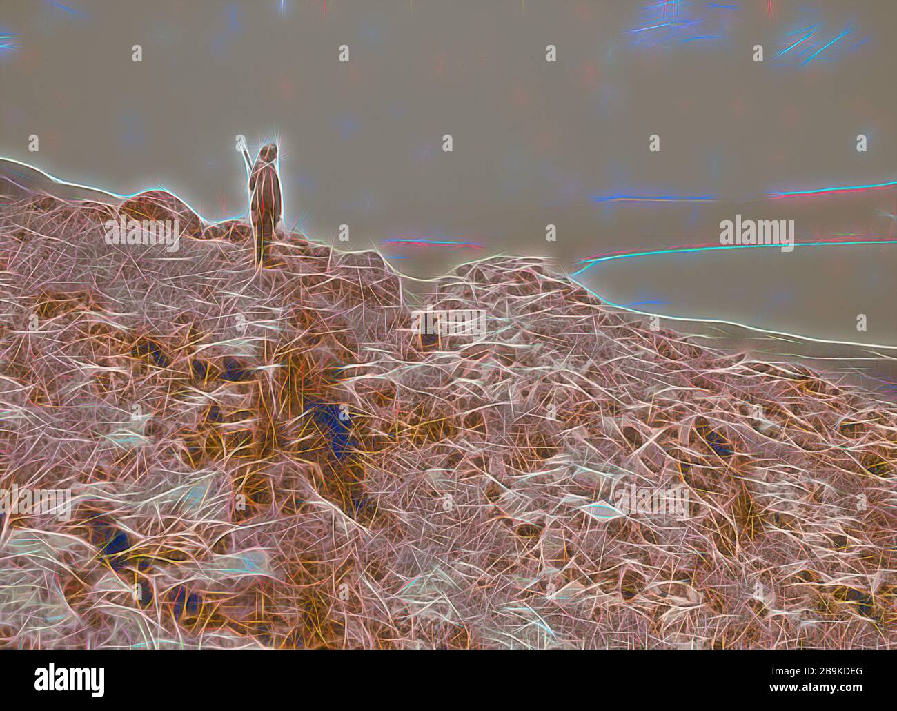 Gamala hi-res stock photography and images - Alamy