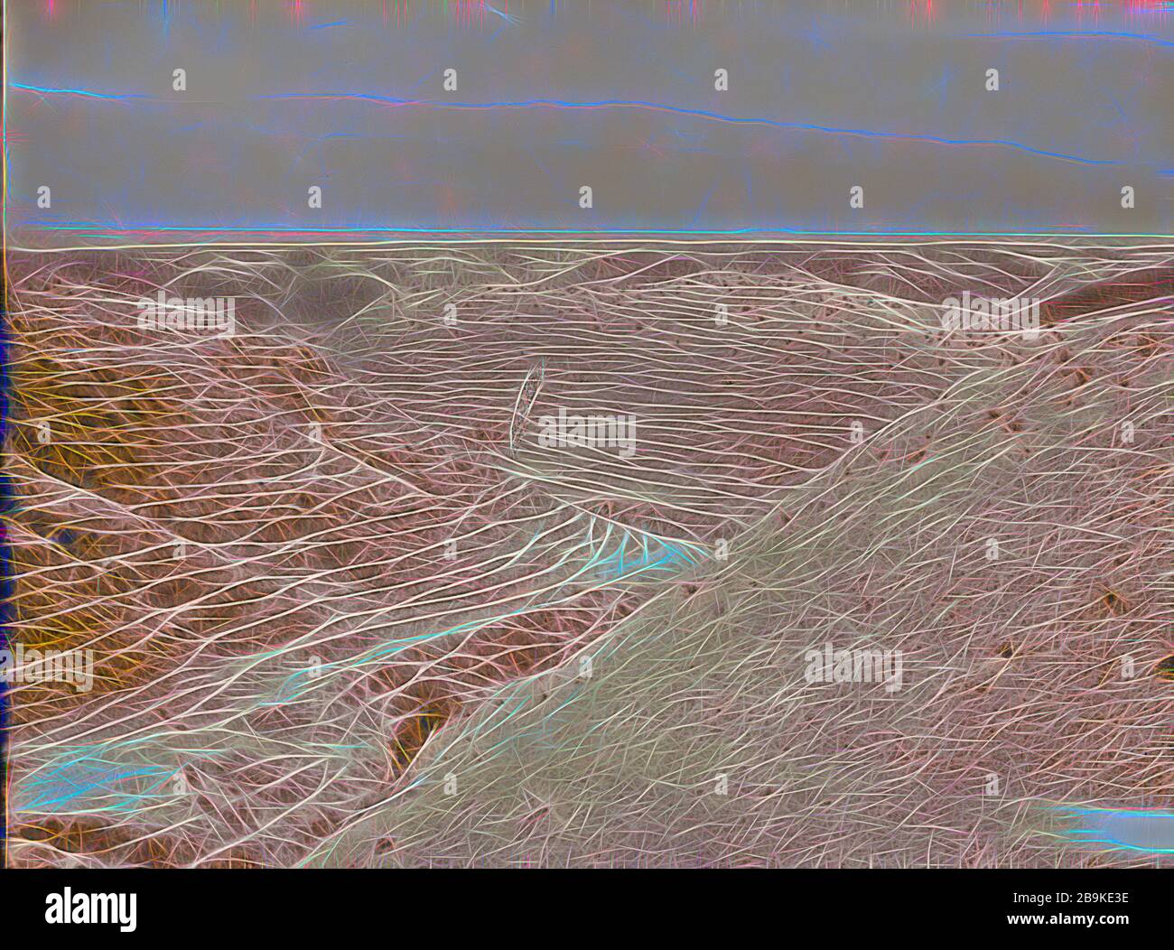 Jericho & Jordan area. Wady Faraa district. Car & camel negotiating ...