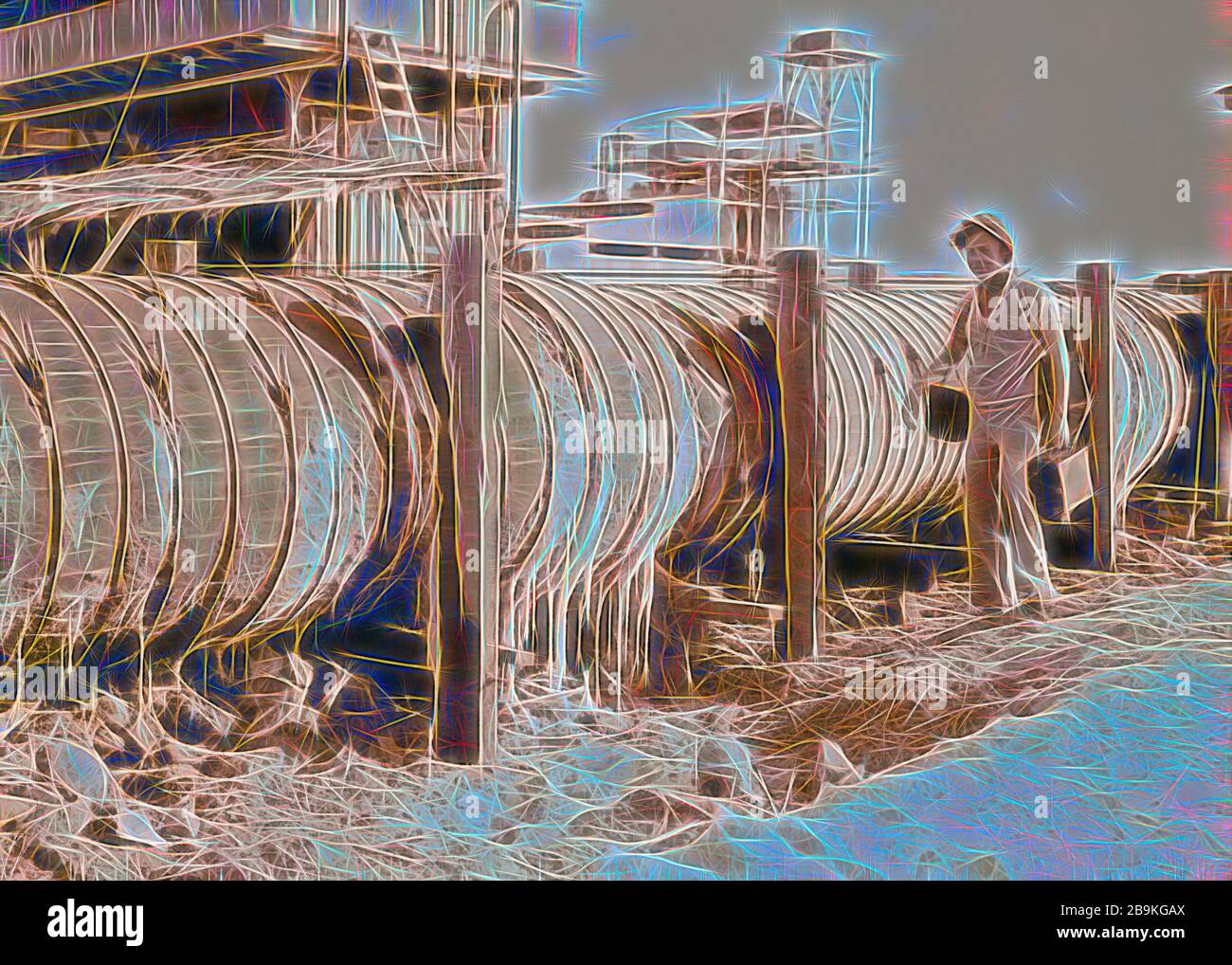 Dead Sea Album, prepared for the Palestine Potash Ltd. A four foot ...