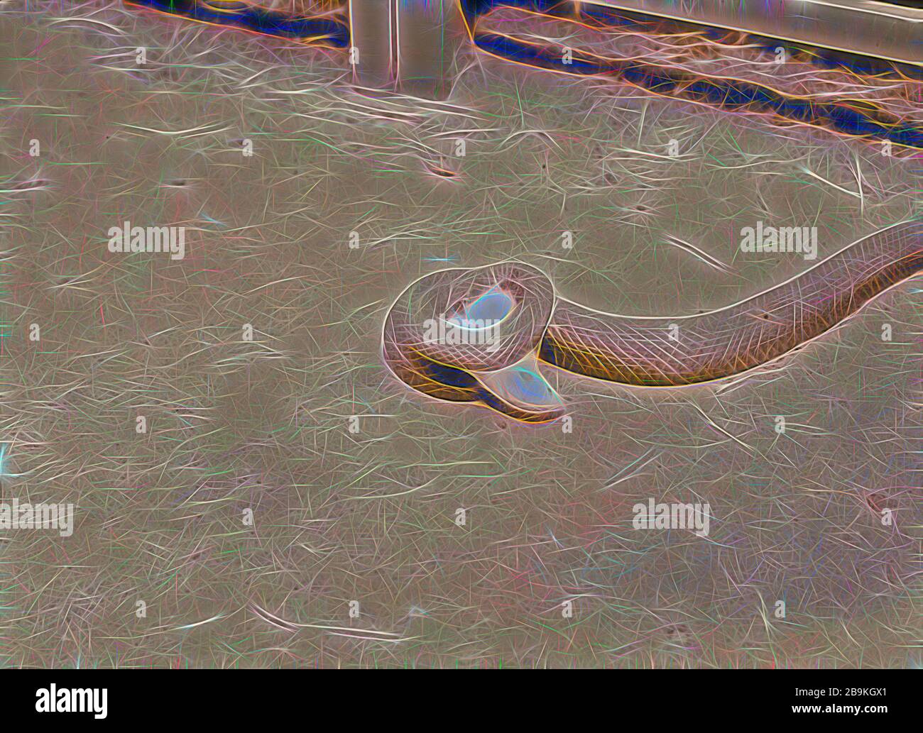 Squeezed to death hi-res stock photography and images - Alamy