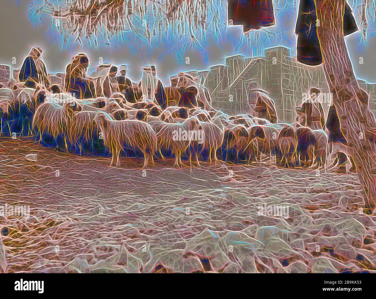 Sheep gate jerusalem hi-res stock photography and images - Alamy