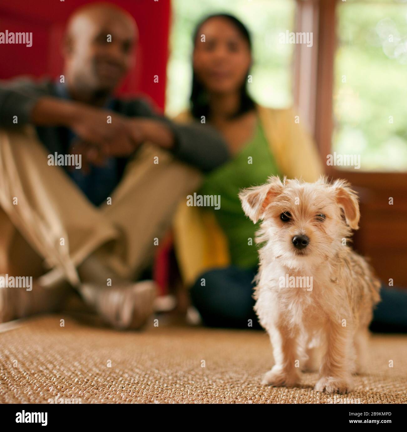 Two adorable mature couples sitting hi-res stock photography and images ...