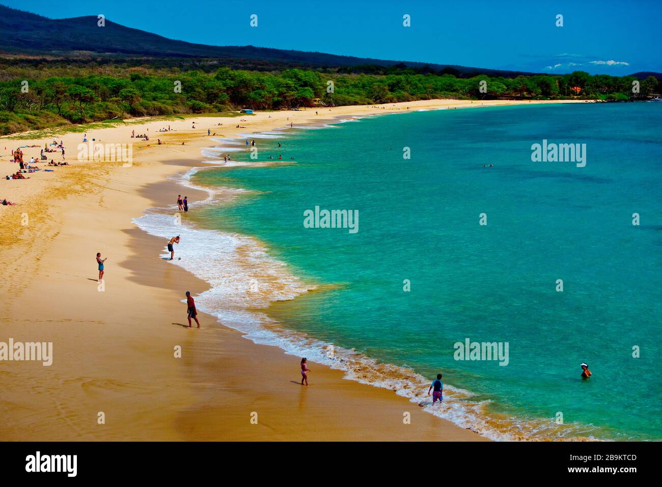 People swimming and sunbathing on a tropical beach Stock Photo - Alamy