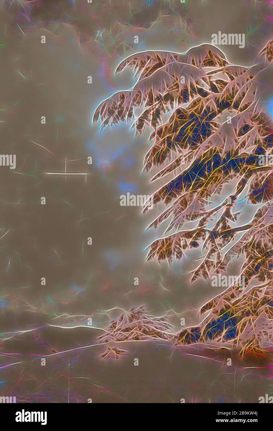 Cedars. Fog scene in the snowbound cedar grove. 1946, Lebanon Stock ...