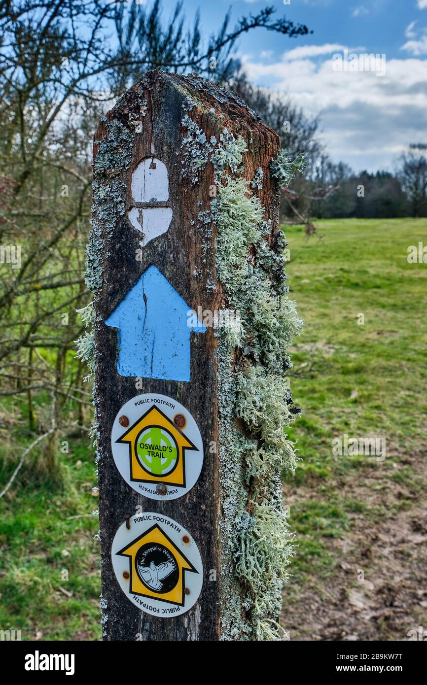Old oswestry hi-res stock photography and images - Alamy