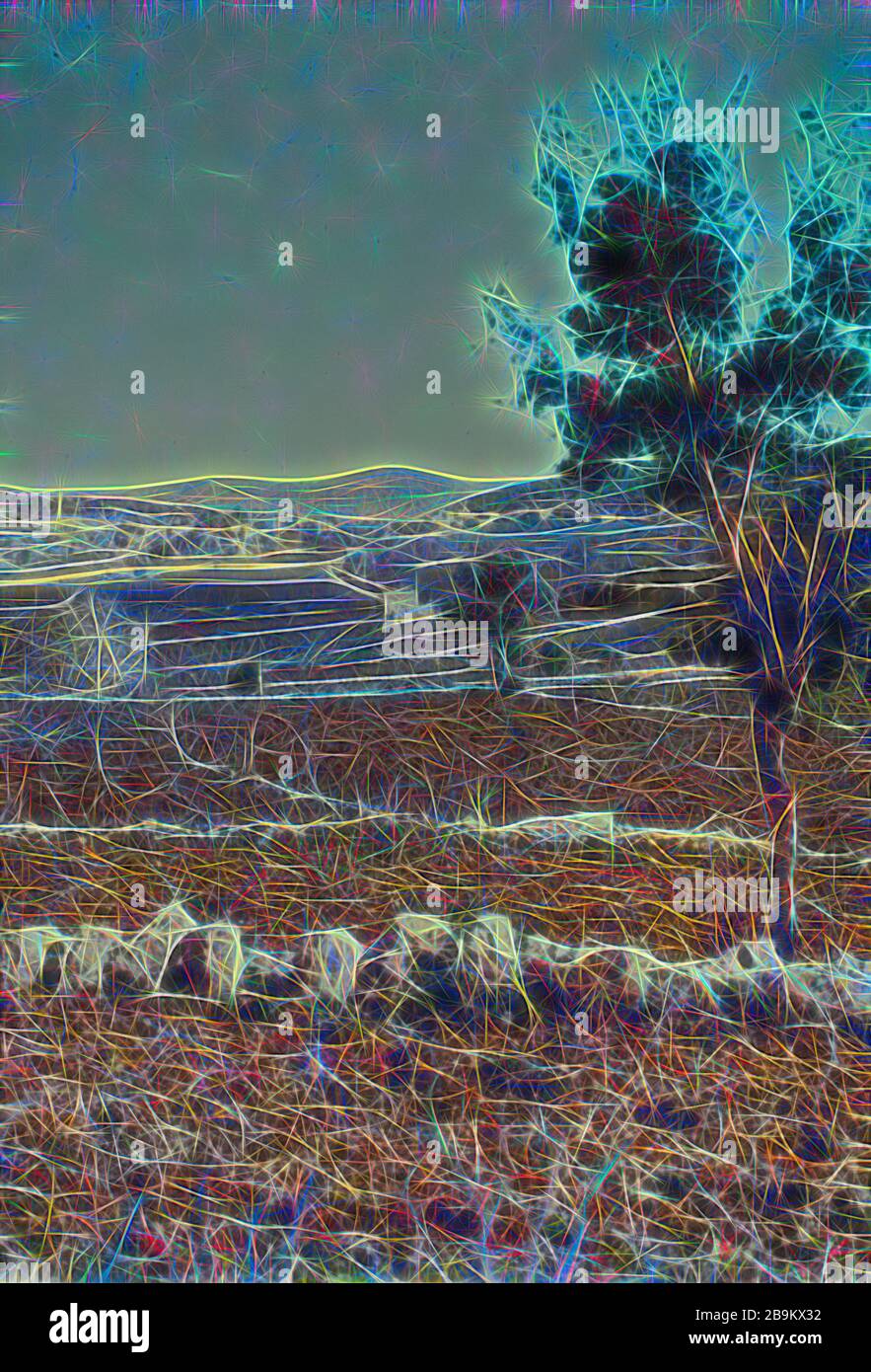 Southern Palestine, Hebron, Beersheba and Gaza area. Valley of Eshcol ...