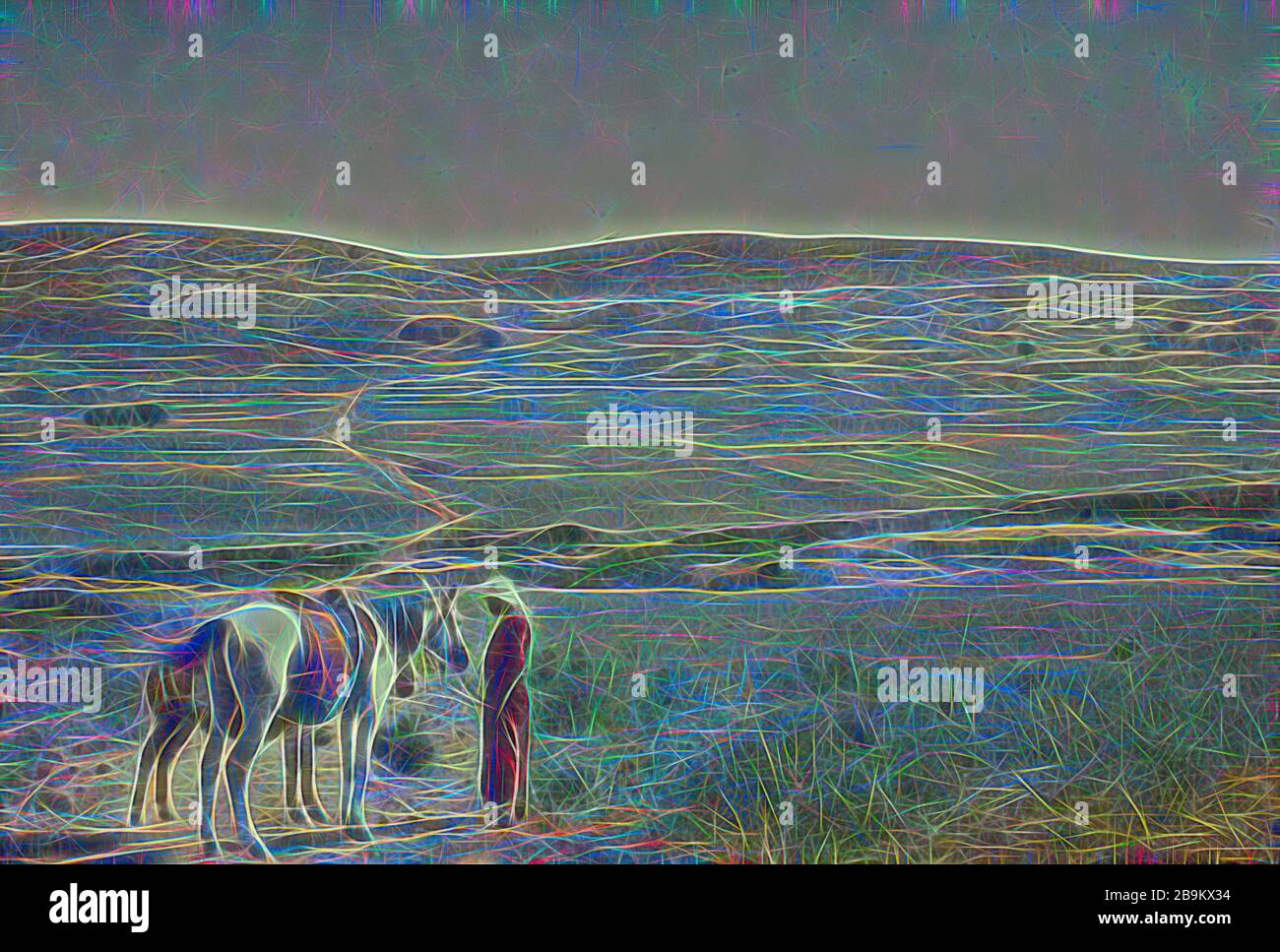 Southern Palestine, Hebron, Beersheba and Gaza area. Shochoh. I Sam ...