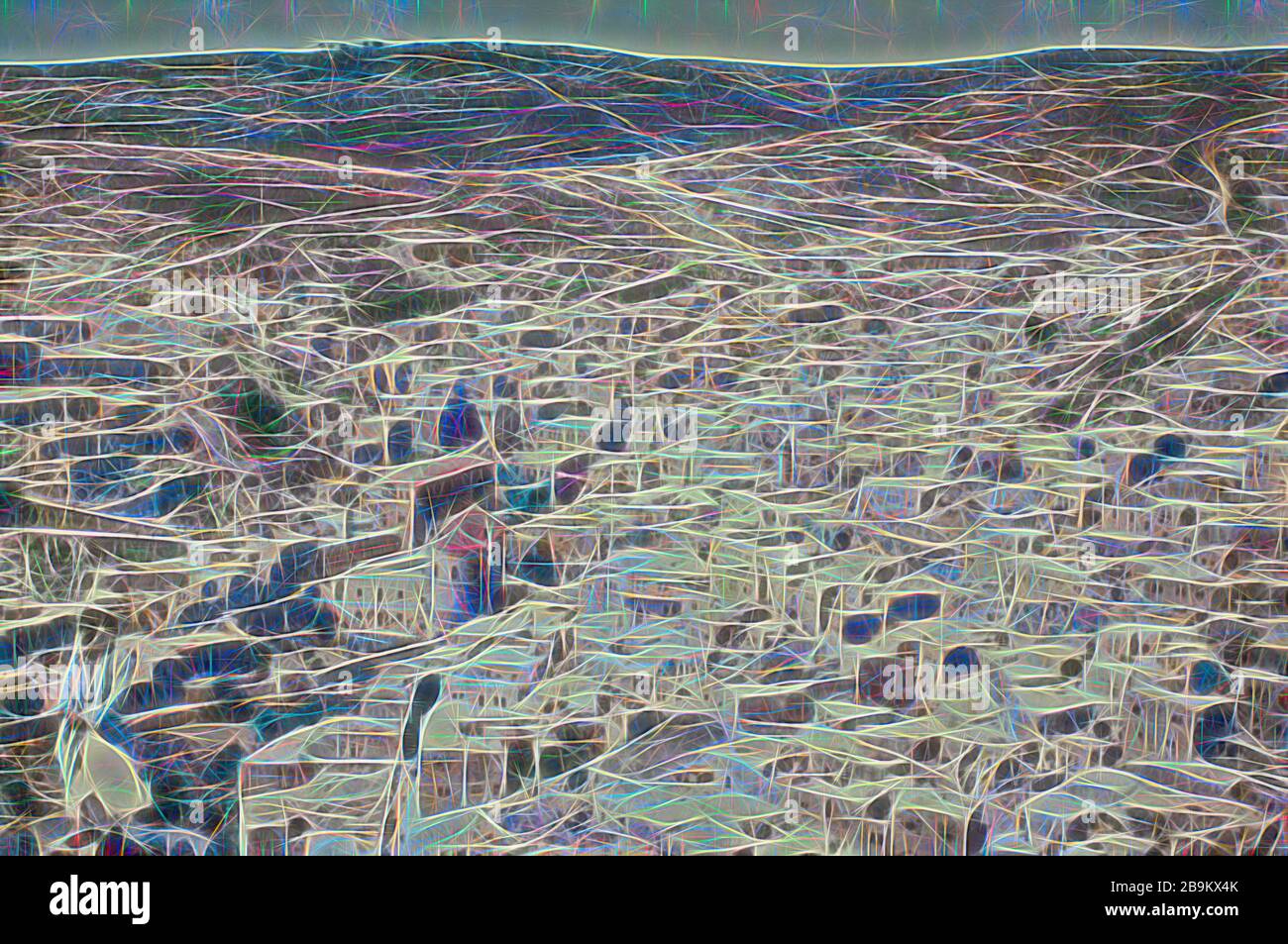 Trans Jordan. Es-Sult [i.e., Salt], Ramoth Gilead. Deut. 443. 1950 ...