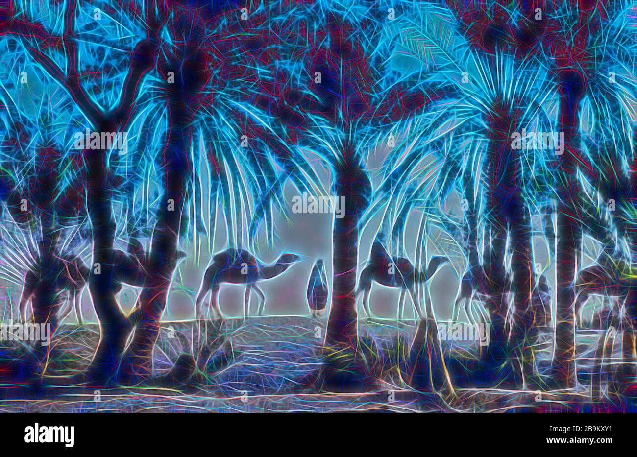 Sinai. Springs of Moses. Exodus 1523. 1950, Egypt, Sinai Stock Photo ...