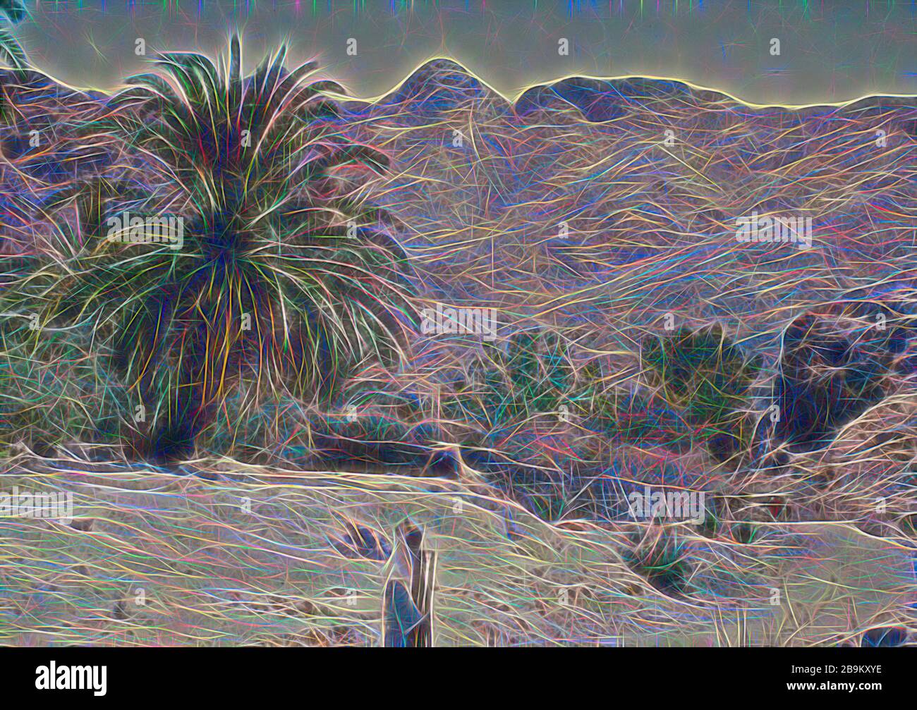 Sinai. Wady Feiran, el Mahrad, Peran. 1950, Egypt, Sinai Stock Photo ...