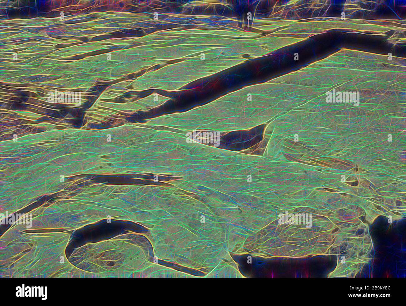 Petra. 1950, Jordan, Petra (Extinct city Stock Photo - Alamy