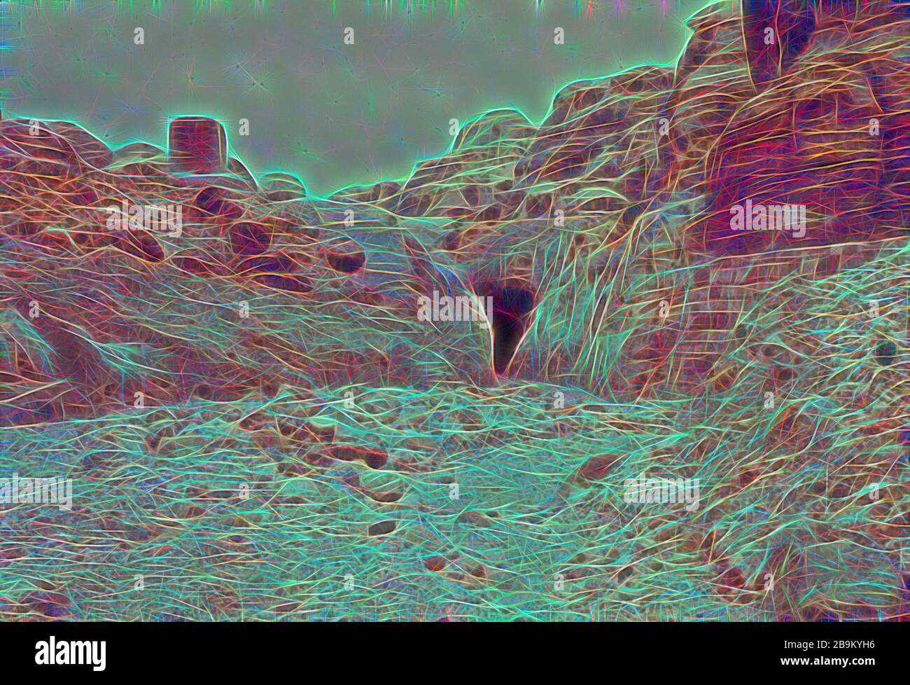 Petra. Nabatean dam. 1950, Jordan, Petra (Extinct city Stock Photo - Alamy