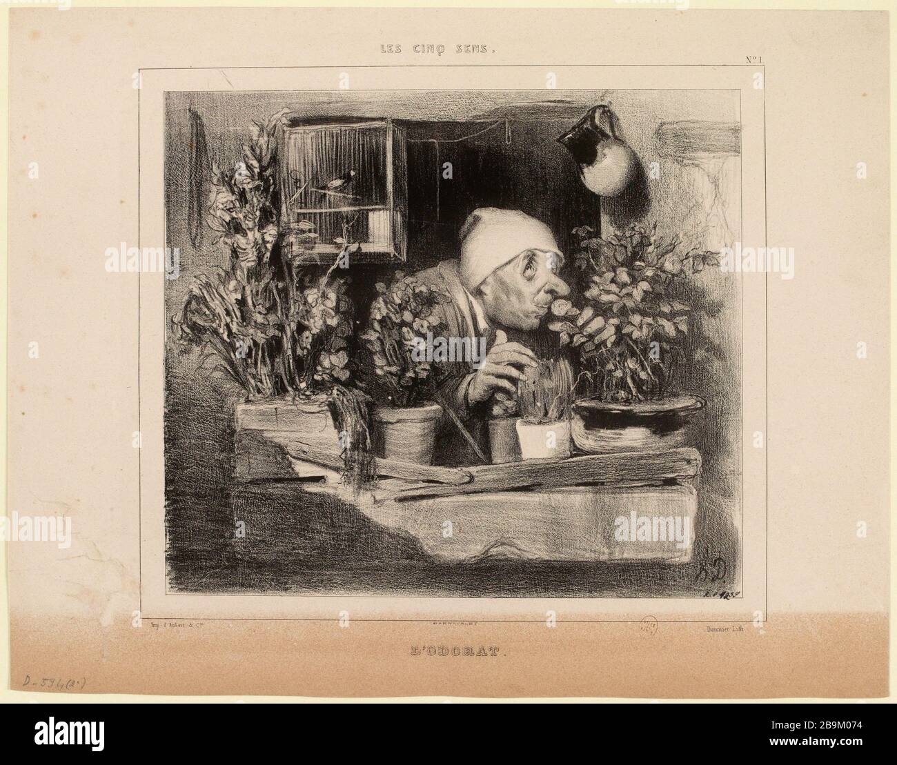 Smell use the sense of smell hi-res stock photography and images - Alamy