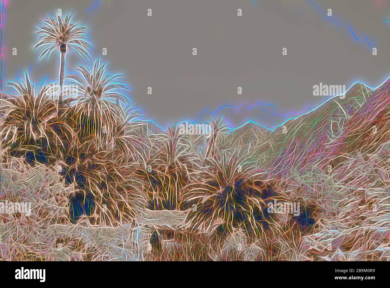 Feiran oasis hi-res stock photography and images - Alamy