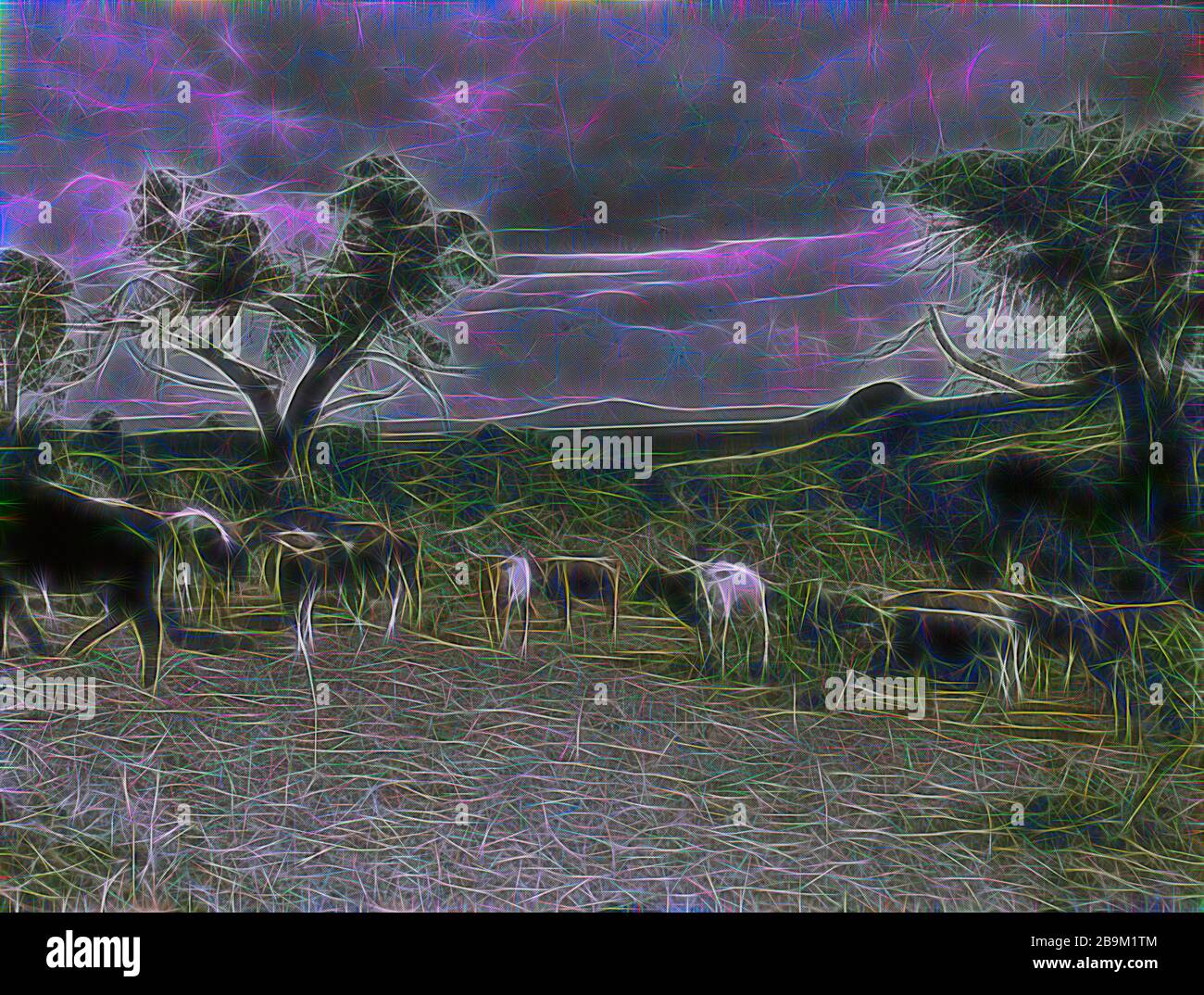 Navisha lake hi-res stock photography and images - Alamy