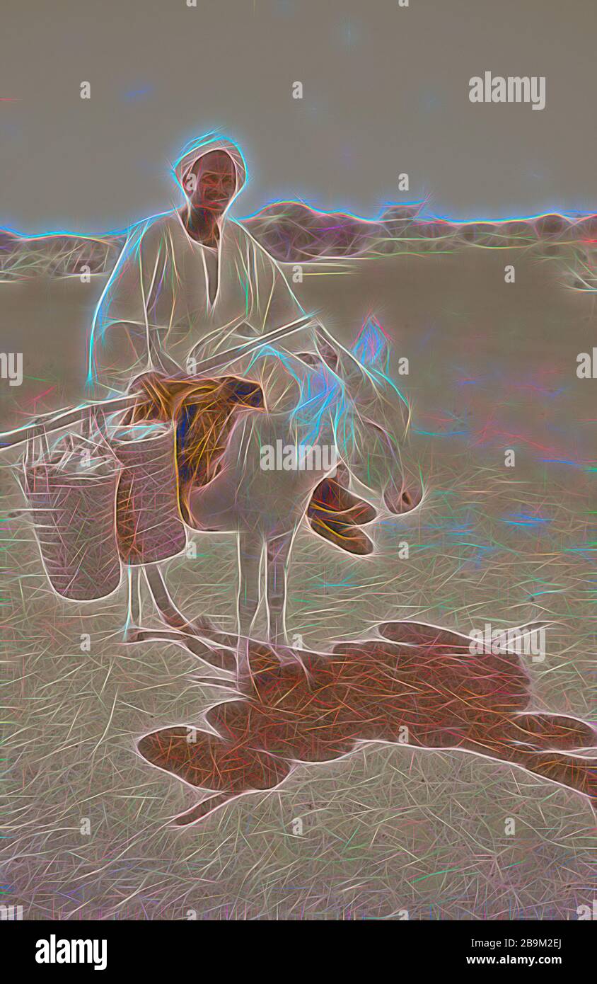 Sudan. Khartoum. Near Shambat. Going to market, native on donkey, close ...