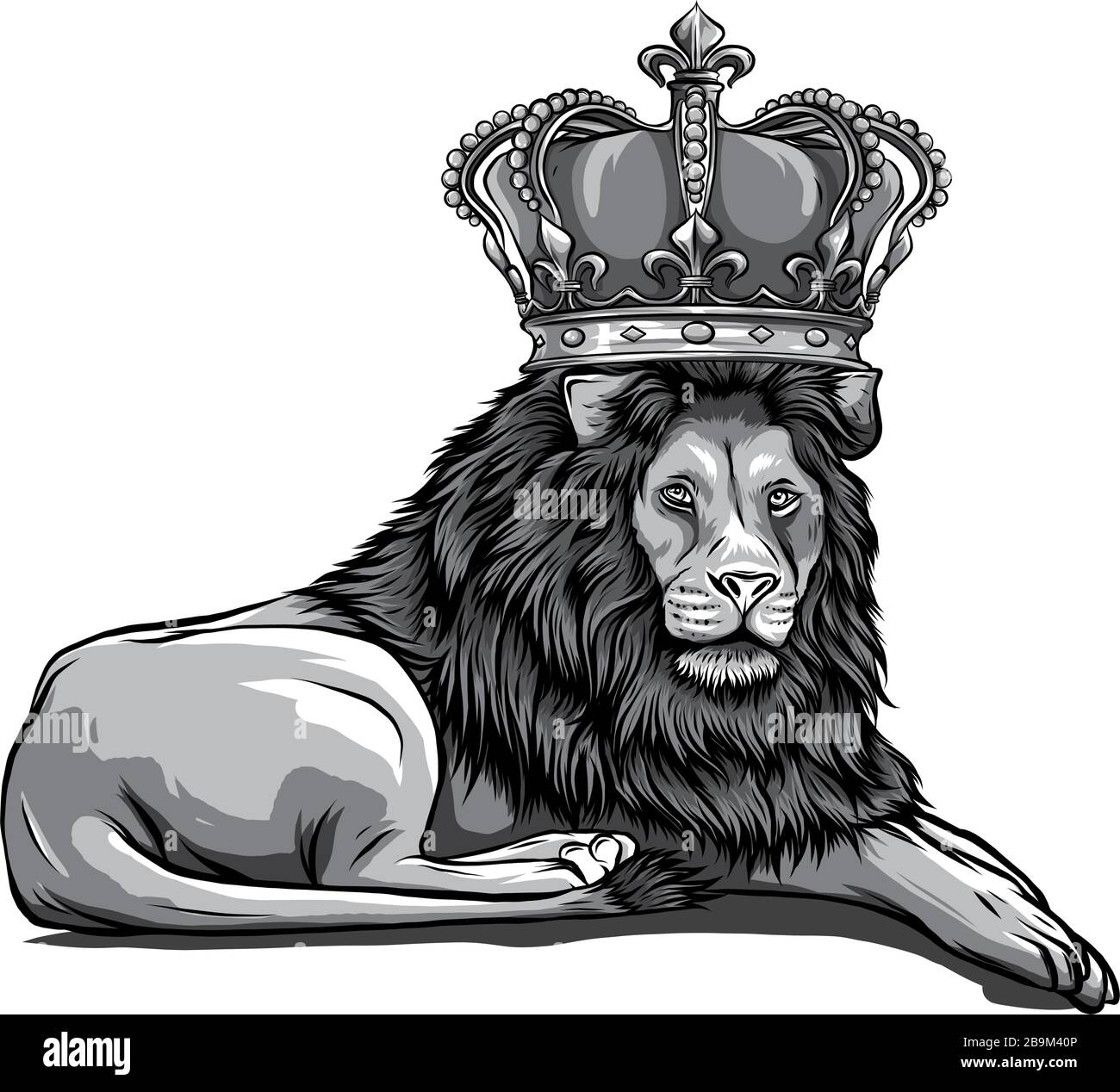 monochromatic vector Illustration of angry leaping lion in white ...