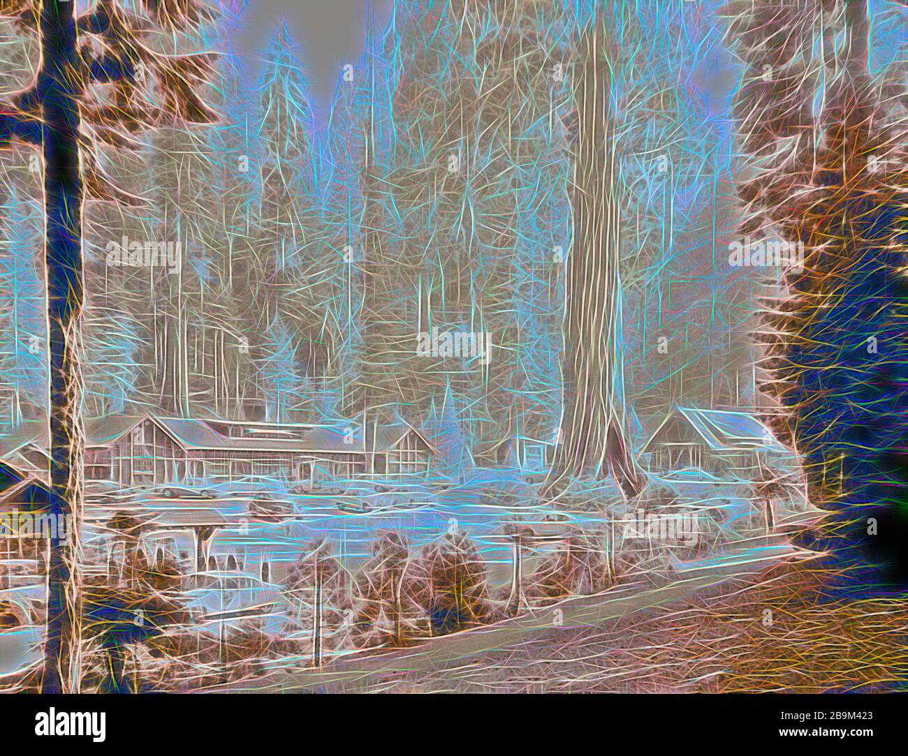 Sequoia National Park, Sept. 1957 The village with Sentinel Tree (Giant ...