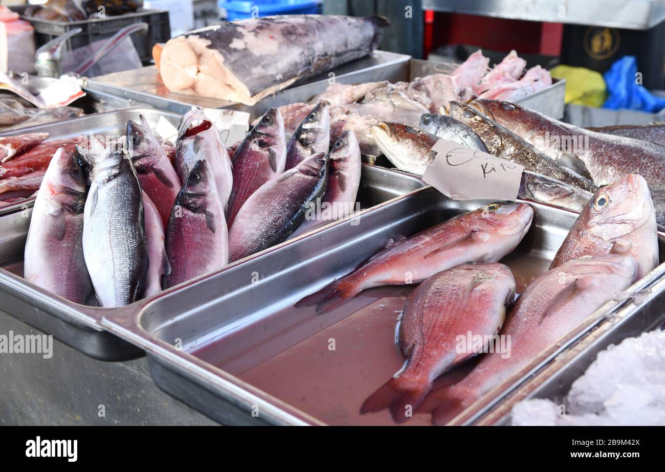 Fish market, fresh fish in street market, food market in Marsaxlokk ...