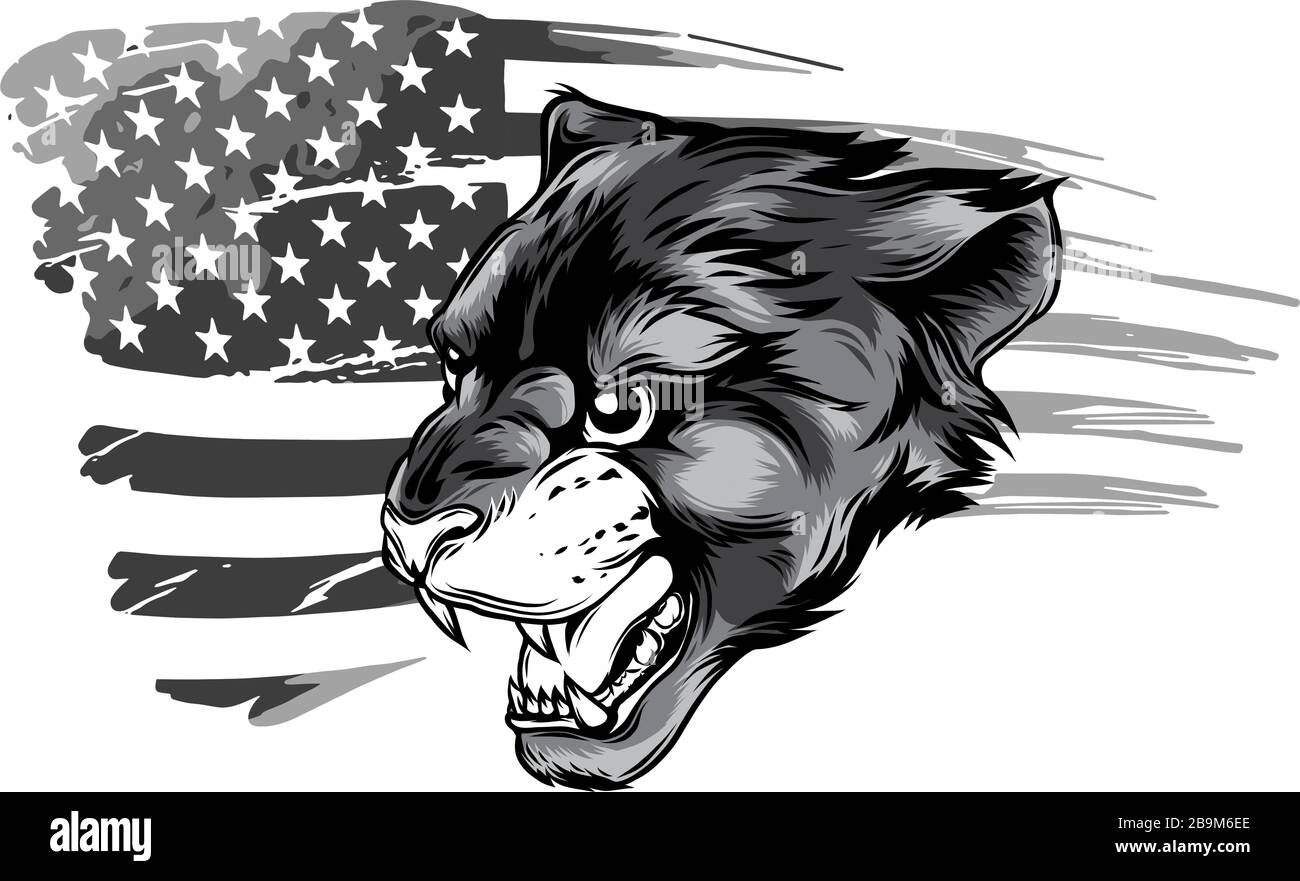 monochromatic Angry puma head. Vector illustration design art Stock ...