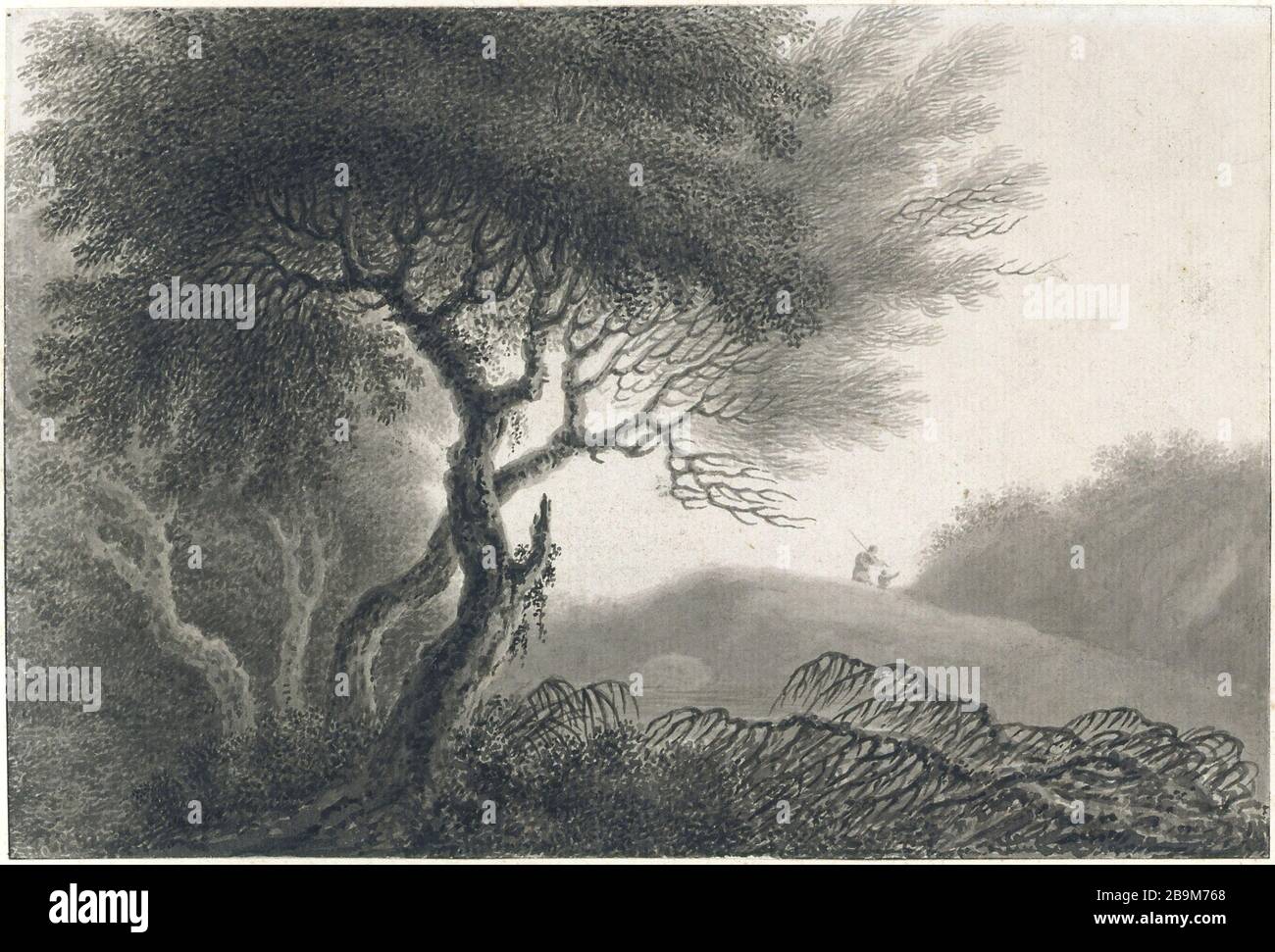 THE EDGE OF THE FOREST A DEAD TREE "La Lisière de la forêt à l'arbre ...