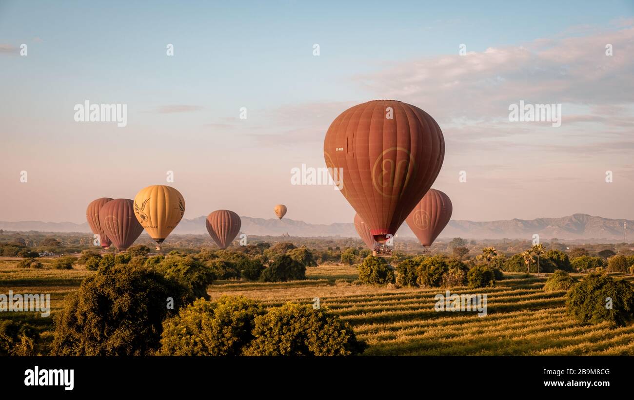 Bagan Myanmar, hot air balloon during Sunrise above temples and pagodas ...