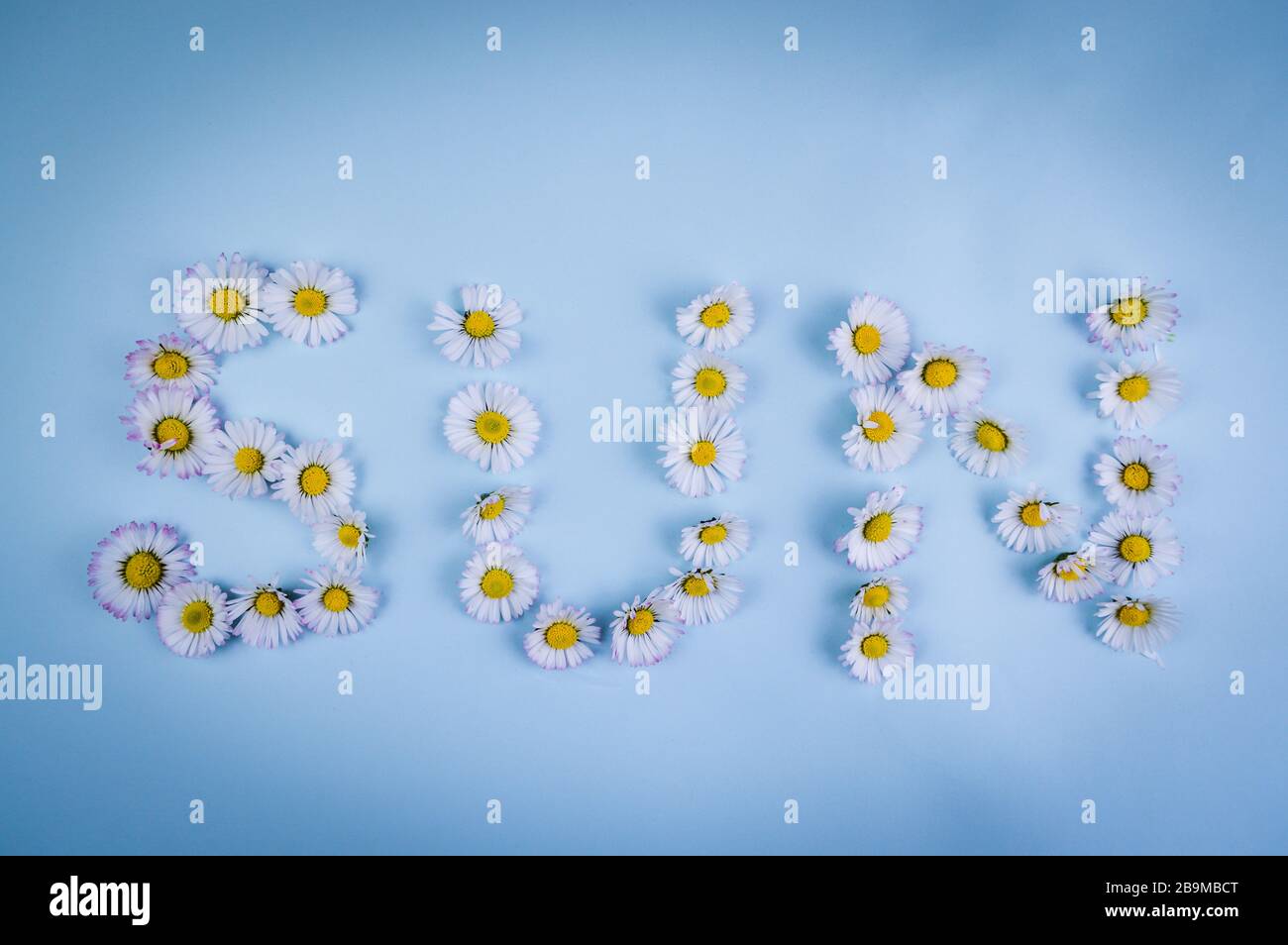 Sun word written with daisy flowers on blue background Stock Photo - Alamy
