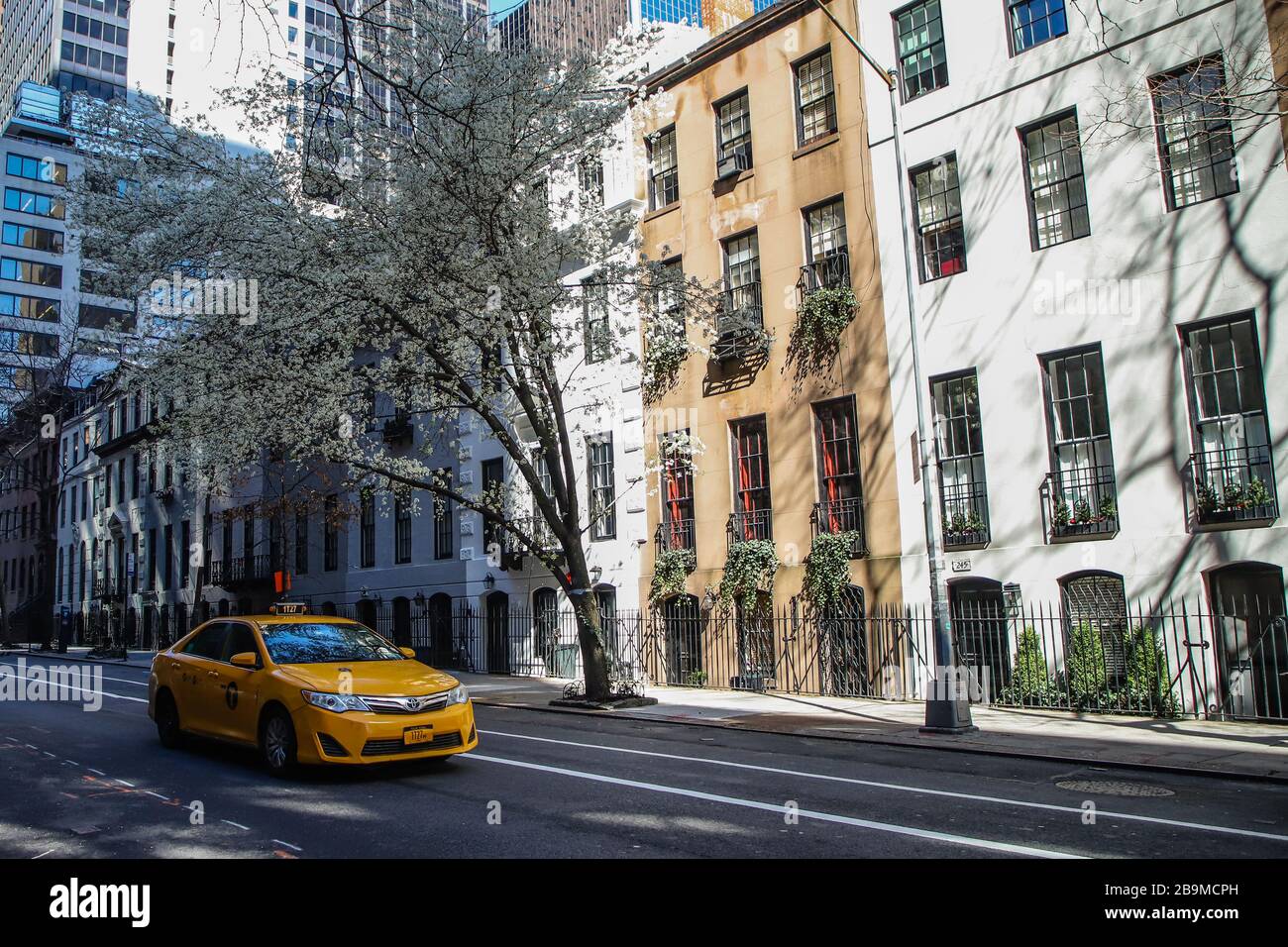New York, USA. 24th Mar, 2020. Empty streets in Manhattan during the ...