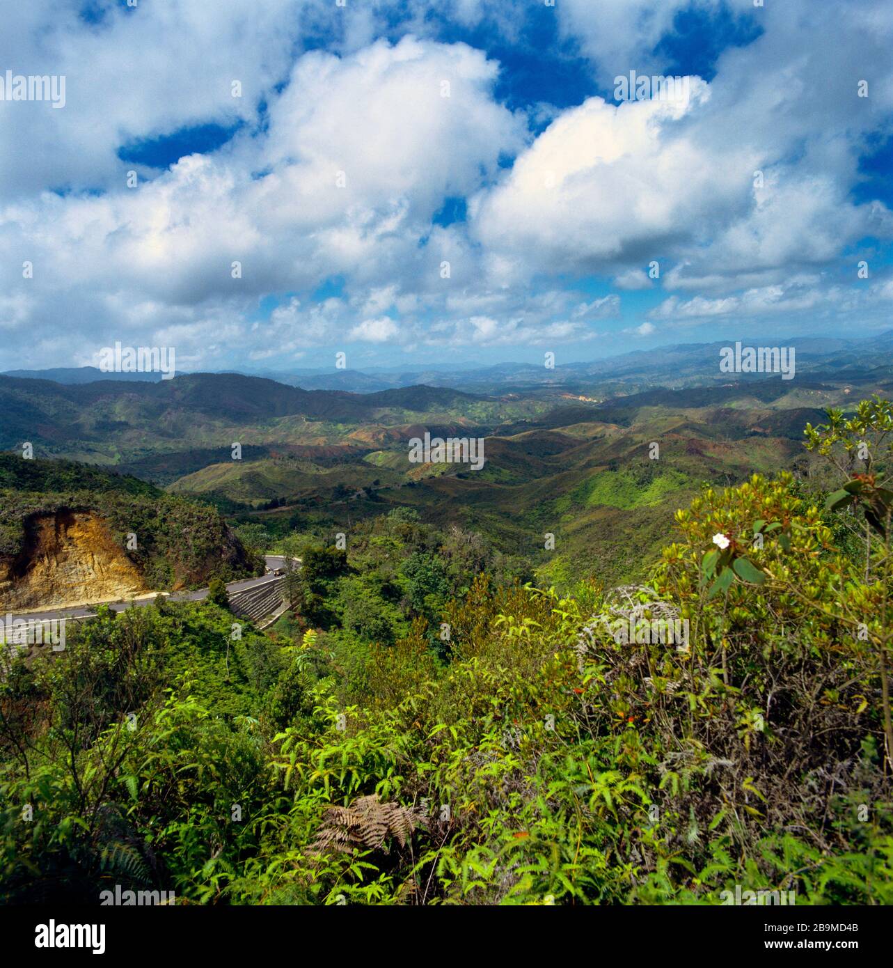 Dominican Republic Tropical Vegetation Mountains Stock Photo - Alamy
