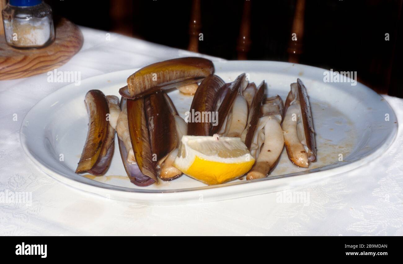 Razorshells hi-res stock photography and images - Alamy