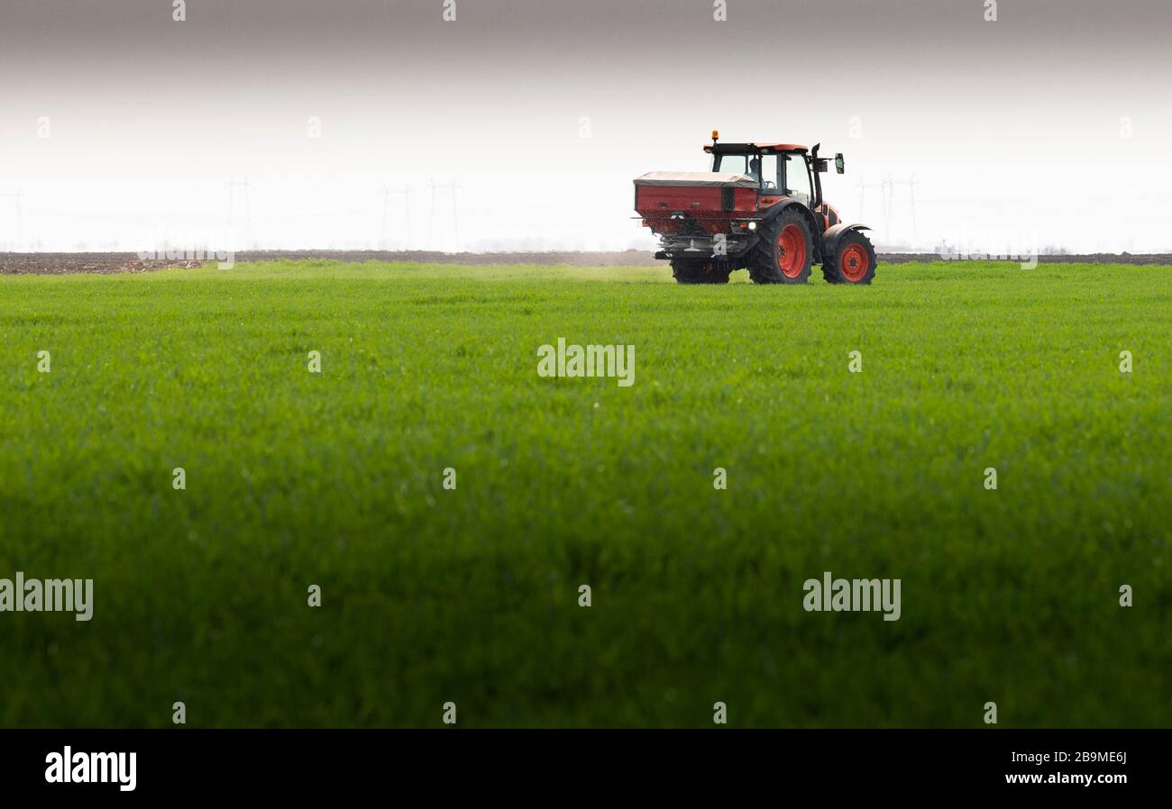 Tractor spreading artificial fertilizers. Transport, agricultural Stock ...