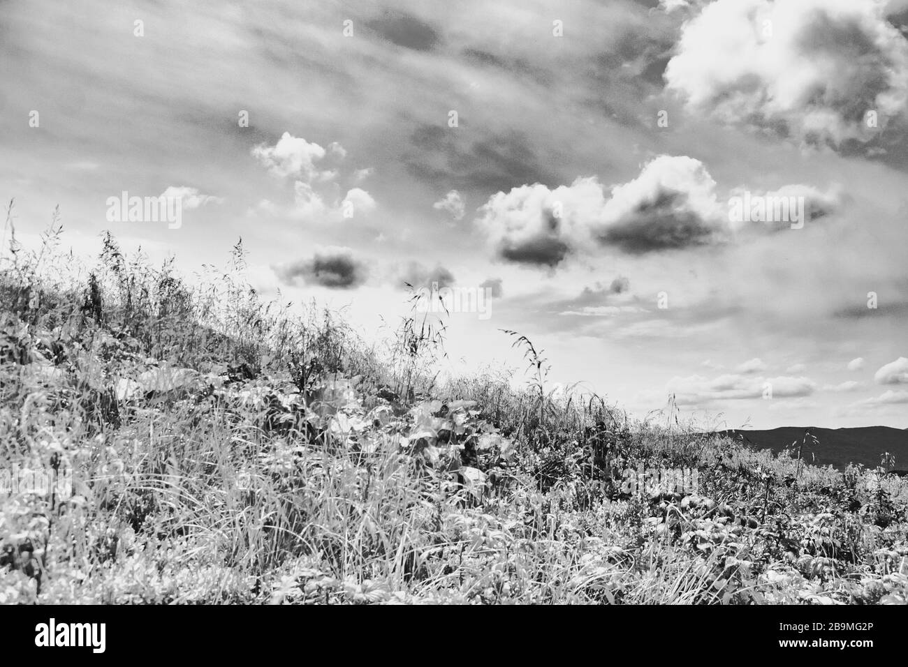 Road from Widełki through Bukowe Berdo and Tarnica to Wołosate in ...