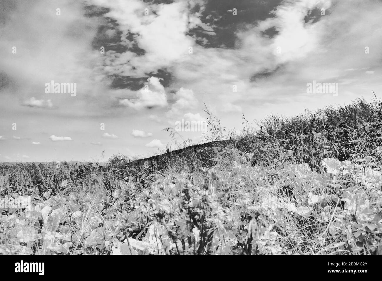 Road from Widełki through Bukowe Berdo and Tarnica to Wołosate in ...