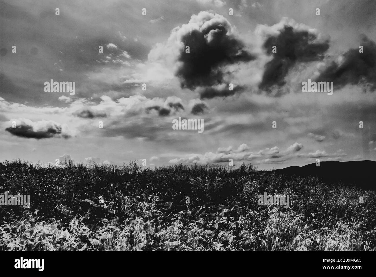 Road from Widełki through Bukowe Berdo and Tarnica to Wołosate in ...