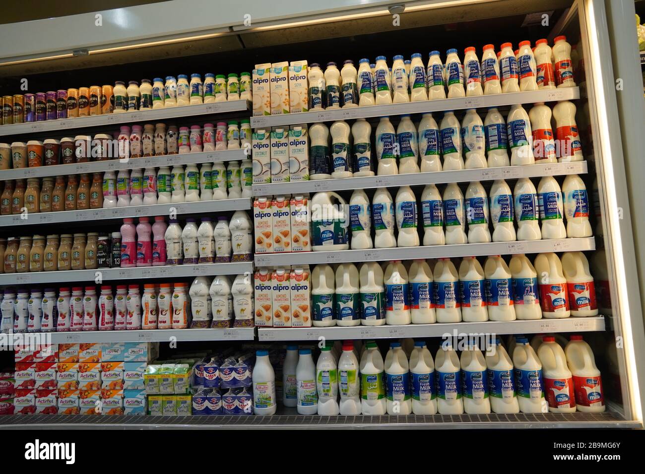 Dubai UAE December 2019 Milk bottles arranged on shelves for sale ...