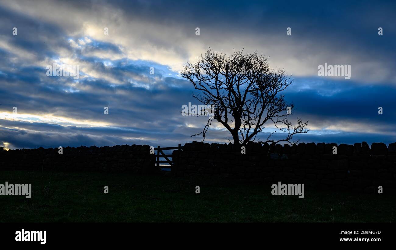 Rspb Reserve, Burton Mere Wetlands High Resolution Stock Photography ...