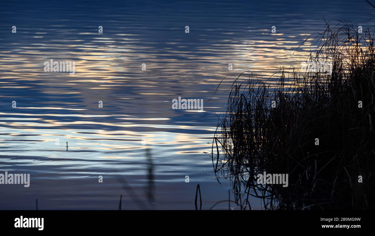 Burton Mere RSPB Reserve Stock Photo - Alamy