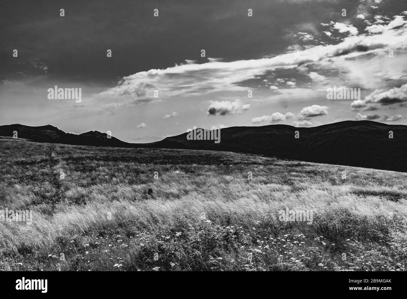 Road from Widełki through Bukowe Berdo and Tarnica to Wołosate in ...
