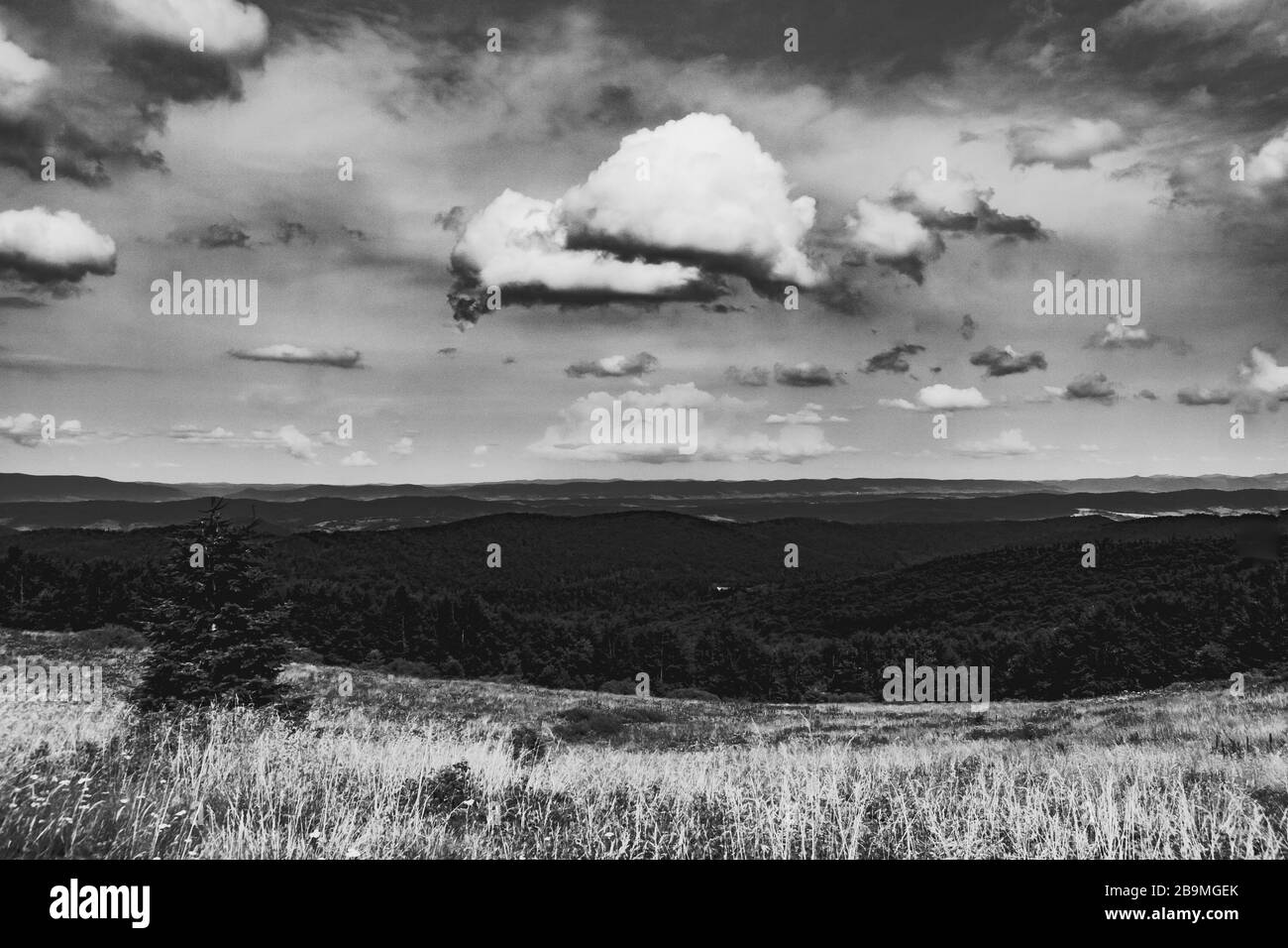 Road from Widełki through Bukowe Berdo and Tarnica to Wołosate in ...