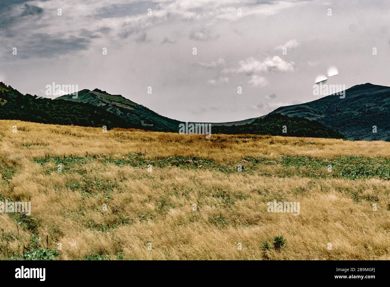 Road from Widełki through Bukowe Berdo and Tarnica to Wołosate in ...