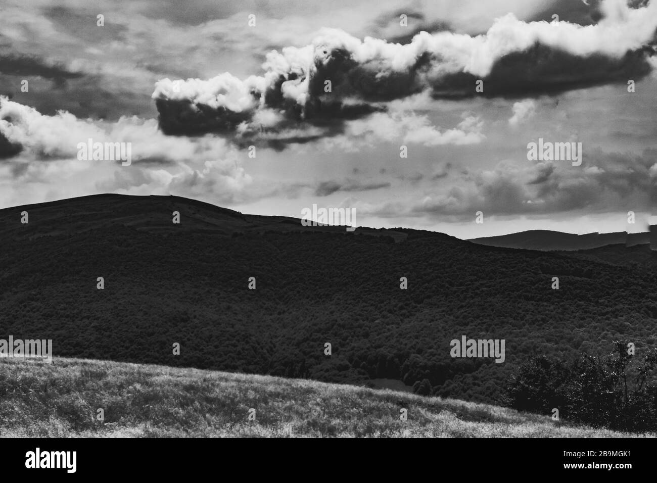 Road from Widełki through Bukowe Berdo and Tarnica to Wołosate in ...