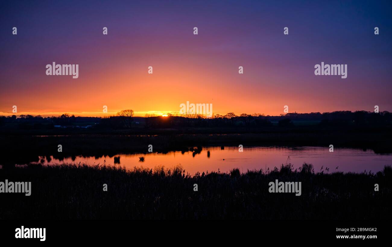 Lunt Meadows nature reserve Stock Photo - Alamy