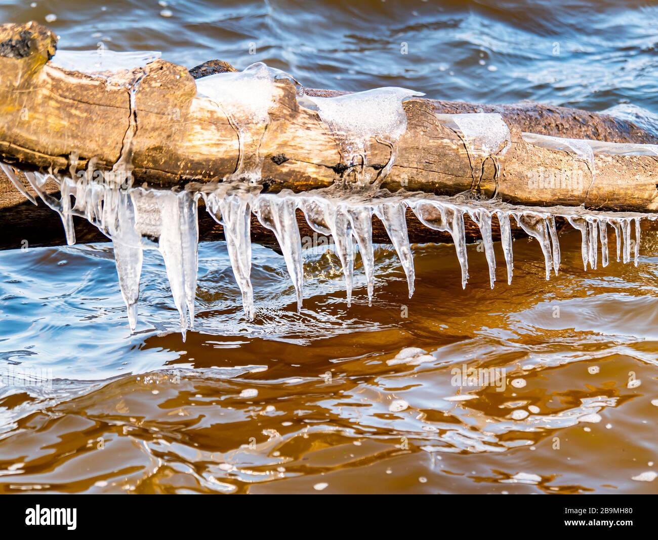 Tree branches in icicles over the water in the river Stock Photo - Alamy